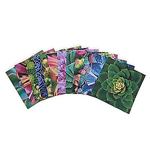 Origami Paper 500 sheets Succulents 6" (15 cm): Tuttle Origami Paper: Double-Sided Origami Sheets with 12 Different Photographs (Instructions for 6 Projects Included)