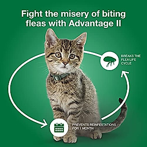 Advantage II Small Cat Vet-Recommended Flea Treatment & Prevention | Cats 5-9 lbs. | 3-Month Supply