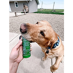 Bug Soother Spray (2, 8 oz) - Natural Insect, Gnat and Mosquito Repellent & Deterrent - DEET-Free - Safe Bug Spray for Adults, Kids, Pets, & Environment - Made in USA - Includes 1 oz. Travel Size