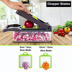 Vegetable Chopper | Pro Onion Chopper, RKINC Multifunctional 14 in 1 Food Chopper, Kitchen Vegetable Slicer Dicer Cutter, Peeler Veggie Chopper With 8 Blades, Carrot and Garlic Chopper With Container