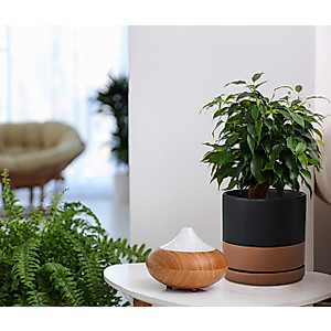 D'vine Dev 6 Inch Ceramic Planter Pot with Drainage Hole and Saucer, Indoor Cylinder Round Planter Pot, Black/Speckled Tan, 94-O-S-7