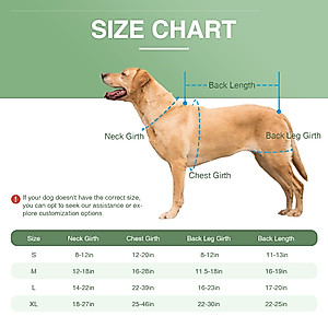 TIPOOP Dog Back Brace for IVDD, Arthritis and Pain Relief, Ivdd Back Brace for Dogs, Accelerates Surgical Recovery, Back Brace for Dogs Prevents Back Problems in Small Dogs and Large Dogs M