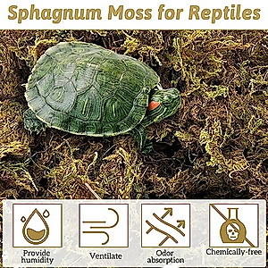 kathson Sphagnum Moss for Reptiles, 10.5 Oz Natural Dried Moss, Reptiles Peat Moss, Natural Sphagnum Moss, Frog Moss for Leopard, Long Fibered Dried Moss for Tortoise/Bearded Dragon/Snake/Lizard