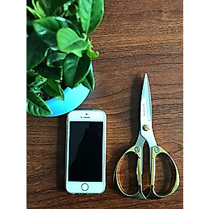 Horsvill Indoor Plant Shears and Garden Scissors, Houseplant Shears Made of Japan SK5 Stainless Steel, Flowers Herbs and Plant Cutters, Clippers, Trimmers, Loppers, Bonsai Plant Pruning Scissors