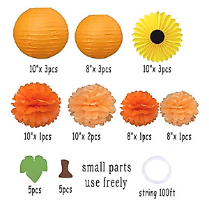 CHRORINE Fall Home Decor Birthday Party Decorations, Fall Little Baby Pumpkin Party 1st Birthday Baby Shower Decorations, Autumn Class School Office Decor