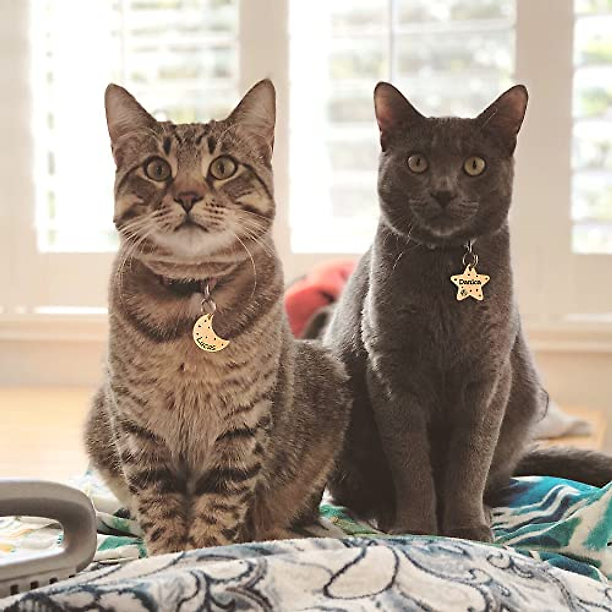 Anavia Starry Sky Theme Pet ID Tags in Half Moon & Star Shape, Personalized Dog Name Tag Cat Tag, Glossy Stainless Steel Gold Plated Black Rainbow Dog Collar Tag (Small, Moon Shape, Black)