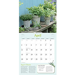 Rosemary Gladstar's Herbs Wall Calendar 2021