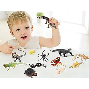 Toymany Reptile Animal Figurine Toys Set, 12 PCS Desert Amphibians Animal Figures with Komodo Dragon Lizard Snake Chameleon Rainforest Cold Blooded Animals Figures Party Favor for Kids
