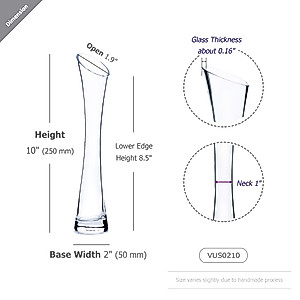 WGV Maria Bud Vase Bulk, Width 2", Height 10", Clear Slant Cut Opening Gathering Concaved Glass Floral Container Centerpiece for Wedding Party Event Home Office Decor, 6 Pieces