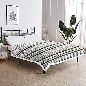 Dinjoy Christmas Holiday Throw Blanket, Snowflake Christmas Tree Green White Fuzzy Sherpa Fleece Plush Bed Throw Kid Xmas New Year, Fluffy Blanket for Bed Sofa Couch Car 50x60 Inches