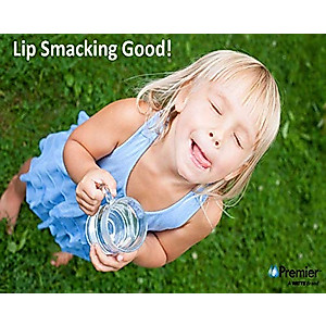 Watts Premier WP500032 5SV 5-Stage Reverse Osmosis System