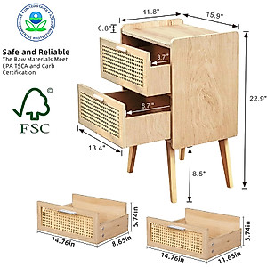 HHETOGOL Rattan Nightstand with Charging Station & 2 Rattan-Like Decor Drawers,Small End Table with Solid Wood Feet for Small Bedroom, Living Room, TTBZ02YE