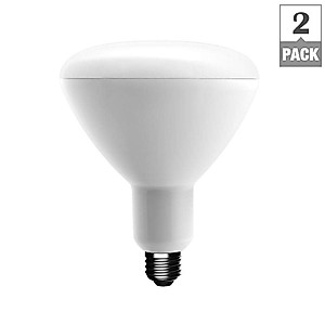 EcoSmart 75-Watt Equivalent BR40 Dimmable Energy Star LED Light Bulb Daylight (2-Pack)