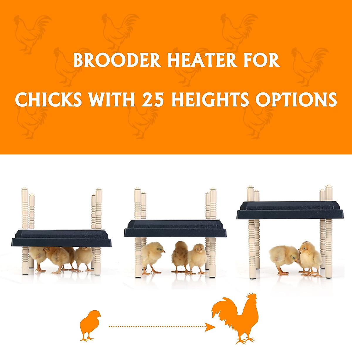 Pitalok Brooder Heater for Chicks: Chick Brooder Heating Plate with Easy- Cleaning Plate Poultry Coop Heater Chicks Warmer 10" x 10" for 15 Chicks Adjustable Height Brooding Heater 15 Watts