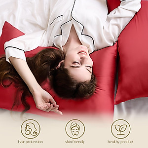 ZIMASILK 100% Pure Mulberry Silk Pillowcase for Hair and Skin Health,Soft and Smooth,Both Sides Premium Grade 6A Silk,600 Thread Count,with Hidden Zipper,1pc(Standard 20''x26'',Burgundy)