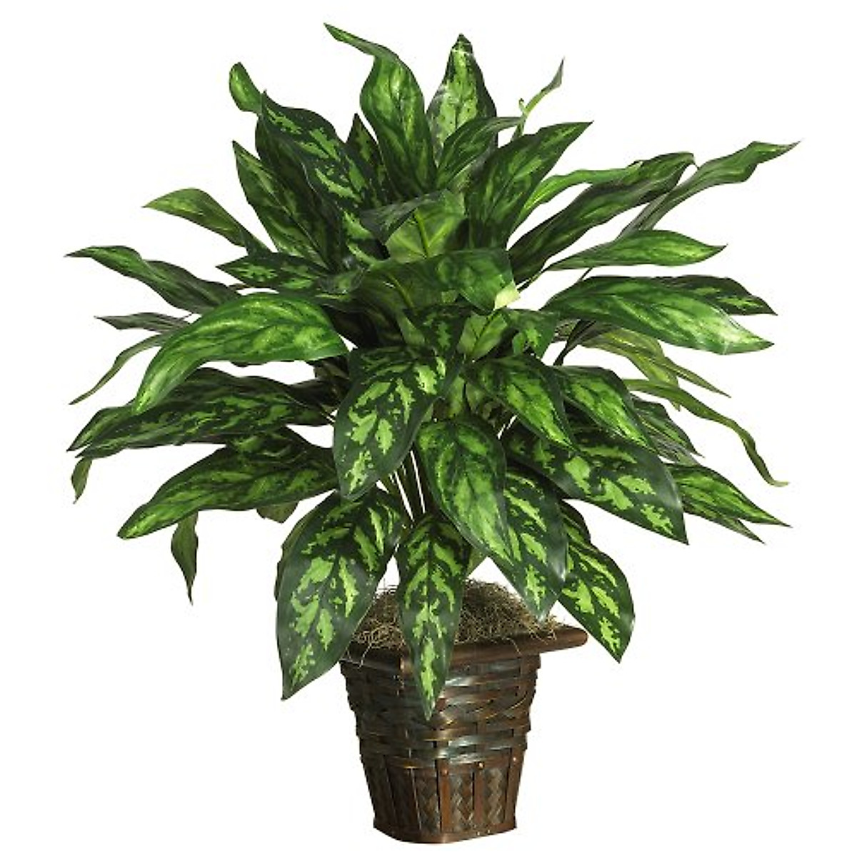 Nearly Natural 6615 Silver King with Basket Decorative Silk Plant, Green