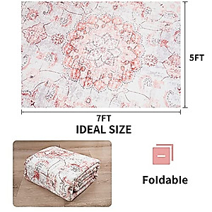 Auruge Area Rug - 5x7 Indoor Vintage Rugs Soft Fuzzy Shaggy Carpet Distressed Pink Accent Rug Non-Slip Non Shedding & Machine Washable Rug for Dining Room Living Room Bedroom Office