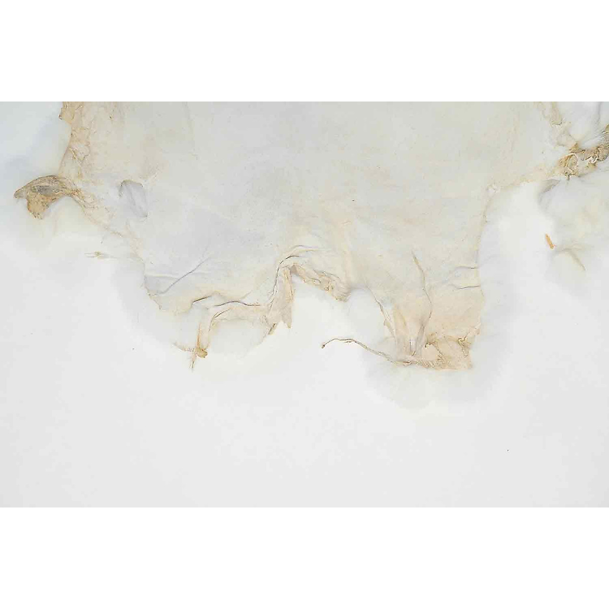 SLC Genuine White Rabbit Pelt for Décor & Crafts, Single Genuine Fur Hides