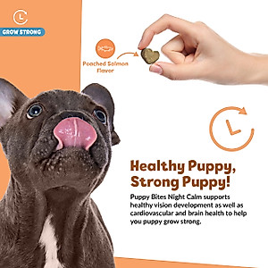 Snuggle Puppy Puppy Bites Grow Strong Supplement - Dog Soft Chews for Overall Health - Omega 3 Supplement for Dog Health - Fish Oil Chews for Dogs - 60 Soft Chews