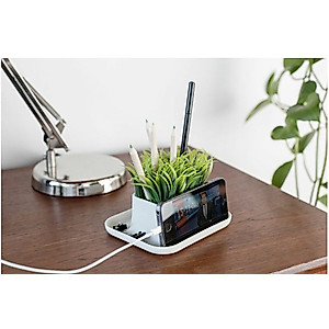 Kikkerland Potted Pen Phone Stand (SC25)