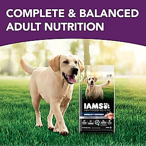 IAMS Advanced Health Mobility Support Chicken and Whole Grain Recipe Adult Dry Dog Food, 6 lb. Bag