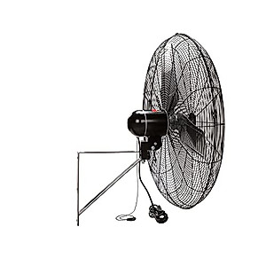 2-Speed Commercial Grade Wall Mount Fan (24 in.)