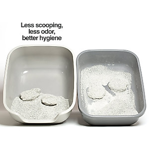 PetFusion BetterBox Non-Stick Large Litter Box. Pet Safe Non-Stick Coating for Easier Cleaning & Superior Hygiene. Open Top Box Promotes Healthy Usage. Litter Pans Made of Stronger ABS Plastic, Grey