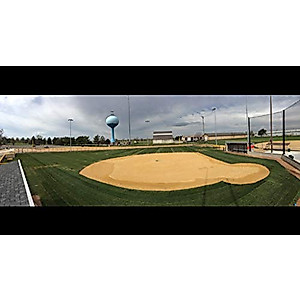 Barenbrug Turf Saver RTF Grass Seed with Yellow Jacket Seed Coating - Less Water Self-Repairing Tall Fescue Turf for Use on Sports Field, Golf Courses, Parks, Lawns, and Yard (10 LB Bag)