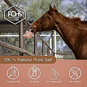 POHS Himalayan Rock Salt Lick 6 lbs Pack of 2 with Rope for Horse, Deer, Sheep, Cow, Goat, Livestock Animals - Original Himalayan Rock Salt Block