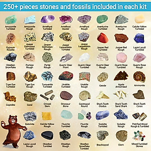 DANCING BEAR Rock, Mineral & Geodes Treasure Hunt Activity Kit (250 Pc Set) Real Shark Teeth Fossils, ID Sheet & Rock Book, STEM
