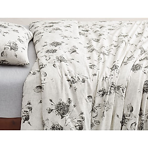 Calvin Klein Home Floral Printed King Duvet Cover Set of 3 Pieces -1 Duvet Cover and 2 Sham Covers, 100% Cotton 200 Tc (Light Grey)