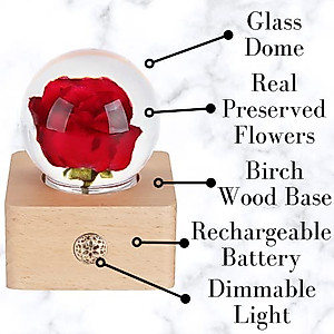 Ellington Gifts Real Preserved Flower Glass Ball Night Light | Dimmable Battery LED, Real Eternal Flowers, Birthday Gifts for Women Mom Girlfriend, Special Anniversary, Valentine's Day (Red Rose)