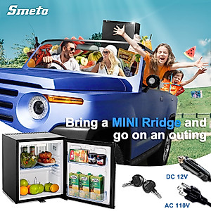 SMETA Mini Fridge with Lock for Bedroom Quiet Lockable No Noise Absorption Mini Refrigerator 12V/110V Compact Portable DC Locking Refrigerator for Office Van Medication Storage Dorm, 1.0 Cu.Ft, Black