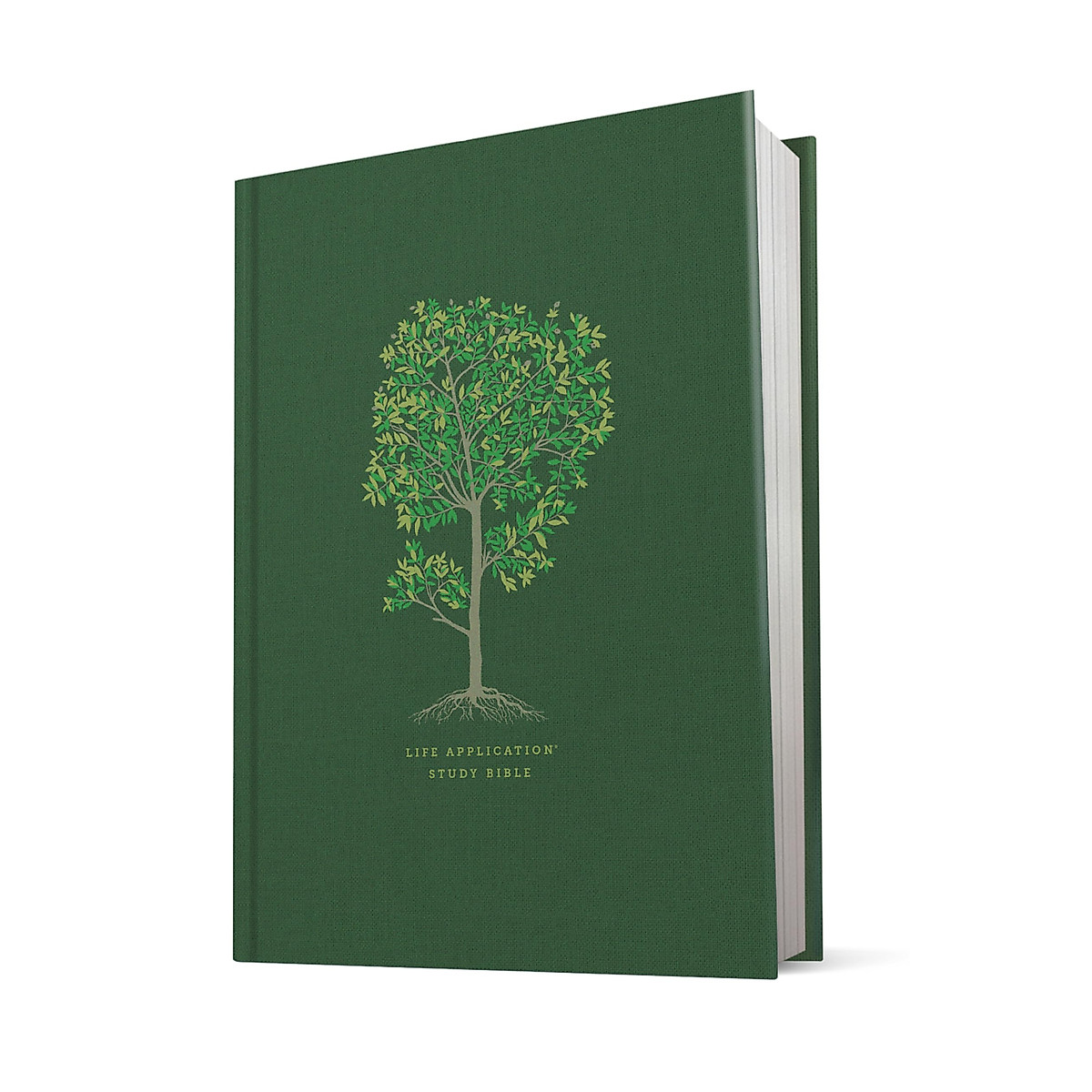 Tyndale NLT Life Application Study Bible, Third Edition, Large Print (Hardcover, Red Letter) – New Living Translation Bible, Large Print Study Bible for Enhanced Readability