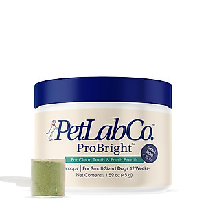 PetLab Co. ProBright Dental Powder - Dog Breath Freshener - Teeth Cleaning Made Easy – Targets Tartar & Bad Breath - Formulated for Small Dogs