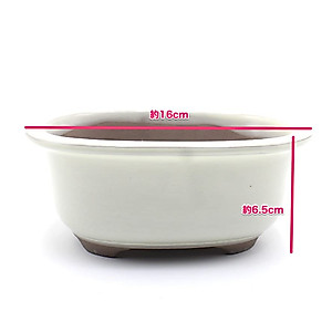 Bonsai Pot Ceramic Seto-Yaki Oval Shaped Glazed with Rim(6.5", Cream-Yu)