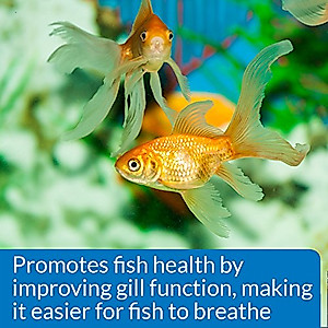 API AQUARIUM SALT Freshwater Aquarium Salt 65-Ounce Box