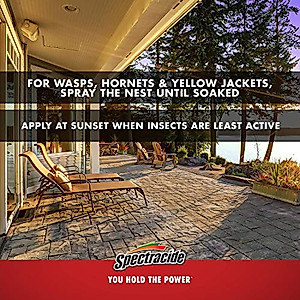 Spectracide Wasp and Hornet Killer Aerosol, 20-Ounce, 2-Pack