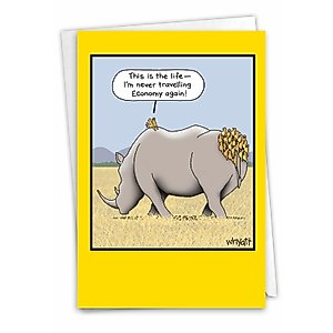 NobleWorks - 1 Hilarious Cartoon Birthday Card with Envelope - Funny Cartoons, Bday Congrats Greeting - First-Class Birds C3347BDG