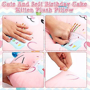 Leyndo 16 Inch Birthday Stuffed Animals Birthday Cat Plush Throw Pillow Cute Stuffed Kitten Plushie Soft Cat Plush Pillow for Kids Adults Birthday Party Favor Gift Sofa Bedroom Decorations