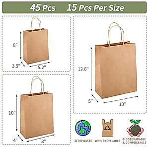 TOMNK 45pc Kraft Paper Gift Bags with Handles - 8/10/12.6 Inch (3 Sizes, 15pc Each) for Business & Party Use