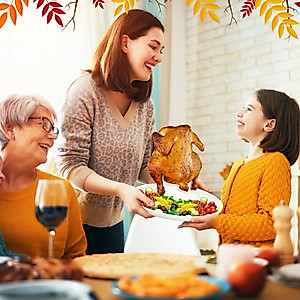 Tioncy Ceramic Chicken Roaster Rack with Baking Pan Set Beer Can Chicken Holder Stand Roasting Pan with Rack Vertical Poultry Chicken Throne for Thanksgiving Baking Grilling Oven, Dishwasher Safe