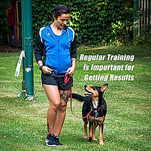 BarxBuddy Anti Barking Control Device (The Original Bark Training Tool) Ultrasonic Sound with LED Lights and Strap - Safe for All Dogs of All Breeds & Ages