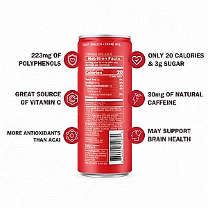 The Other Side of Coffee – Upcycled Coffee Fruit Juice Drink, Non-Carbonated, Antioxidant Rich, Low Caffeine (30mg), Low Calorie, Low Sugar, 100% Natural, 12 Fl Oz, Berry Flavor (Pack of 12)
