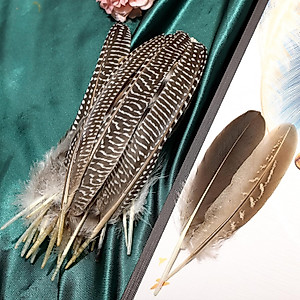 THARAHT 24pcs 4Style Natural Spotted Feathers Guinea Fowl Wing Feathers 6-8 inch Bulk for Craft Clothing Jewelry DIY Decoration Guinea Fowl Wing Feathers