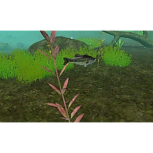 Fish On [Japan Import]