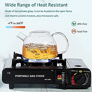 34oz/1000ml Glass Teapot with Glass Tea Infusers, Glass Tea Kettle for Loose Tea, with Removable Clear Infusers for Blooming Flower Tea, Ideal Tea Sets for Women, Tea Maker Gift