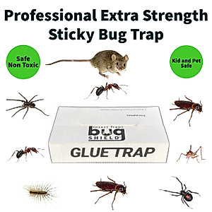 Bug Shield Sticky Glue Traps 36 Glue Boards, All Types of Incets, Spiders, Cockroaches, Ants, Cave Crickets, and More.Professional Strength Glue.