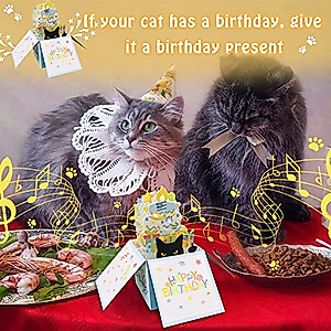 DTESL 3D Pop Up Funny Birthday Cards, 3D Black Cat Birthday Card for women, Cat Mom or Dad Greeting Cards for Every Cat Lover, Press the power button to play: plays hit song 'Happy Birthday'