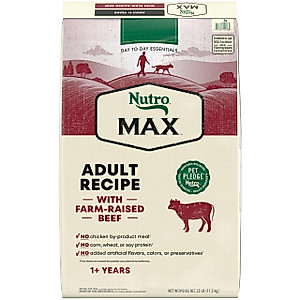NUTRO MAX Adult Recipe Dry Dog Food With Farm Raised Beef, 25 LB Bag